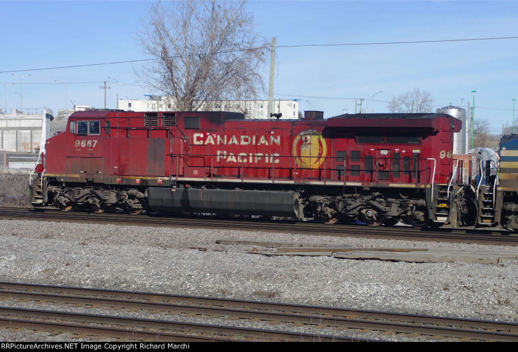 CP 9667